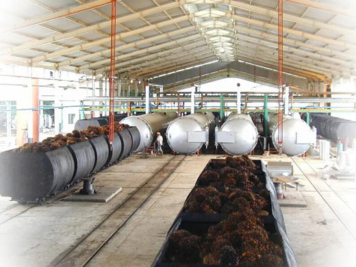 Palm Oil Processing Plant/Palm Oil Production Line