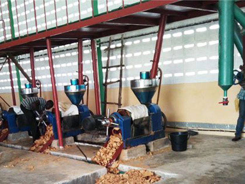 Shea Butter Extraction Plant Machine Shea Butter Extraction Plant Machine