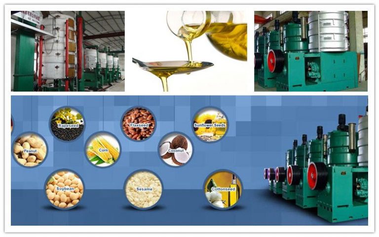 A Complete Guide to Peanut Oil Production Line